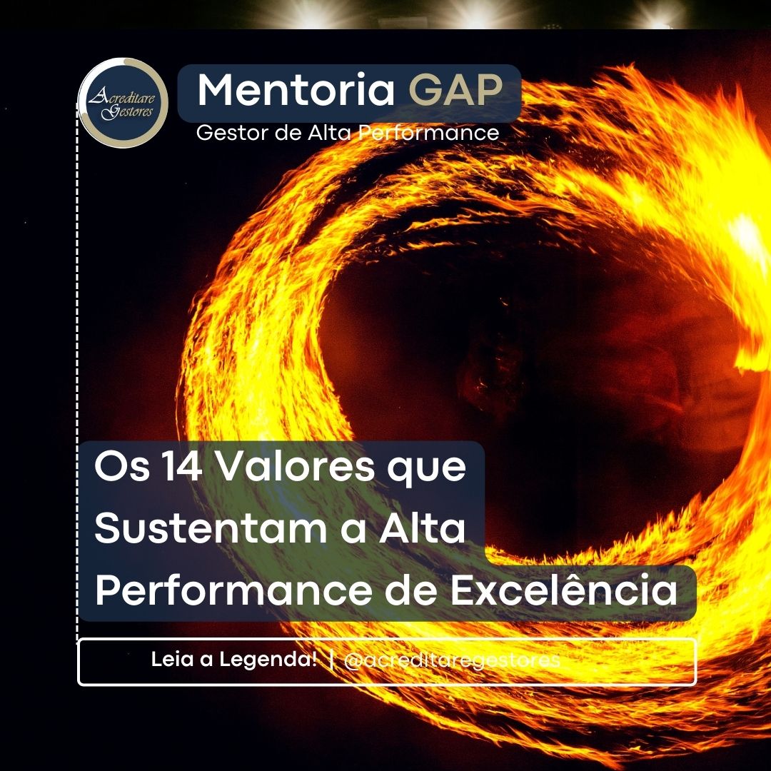 Conheça os 14 valores que sustentam a alta performance